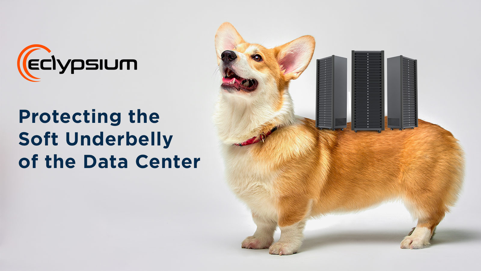 OnDemand-Protecting the Soft Underbelly of the Data Center